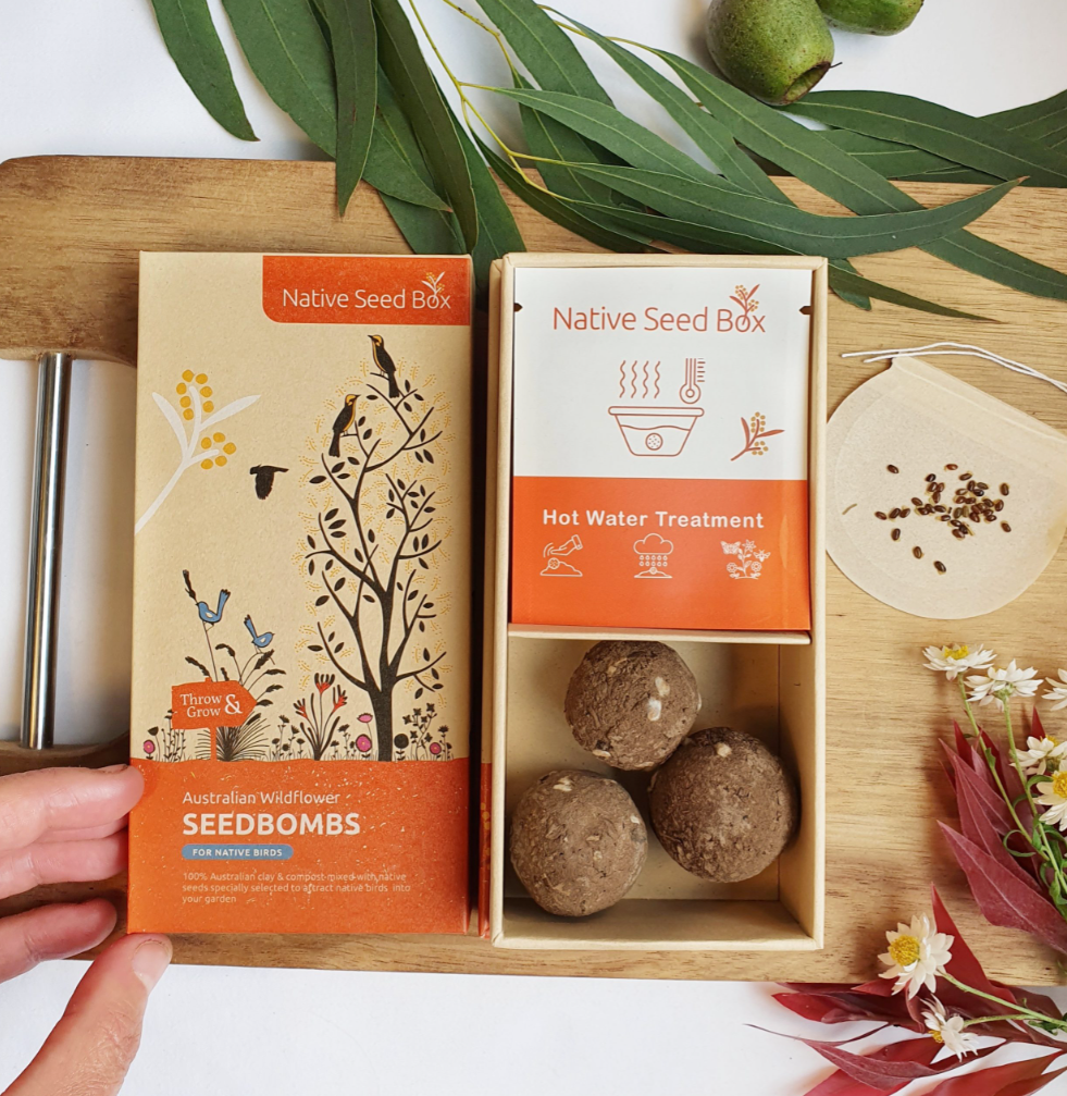 Native Seed Boxes – Field Trip Balhannah